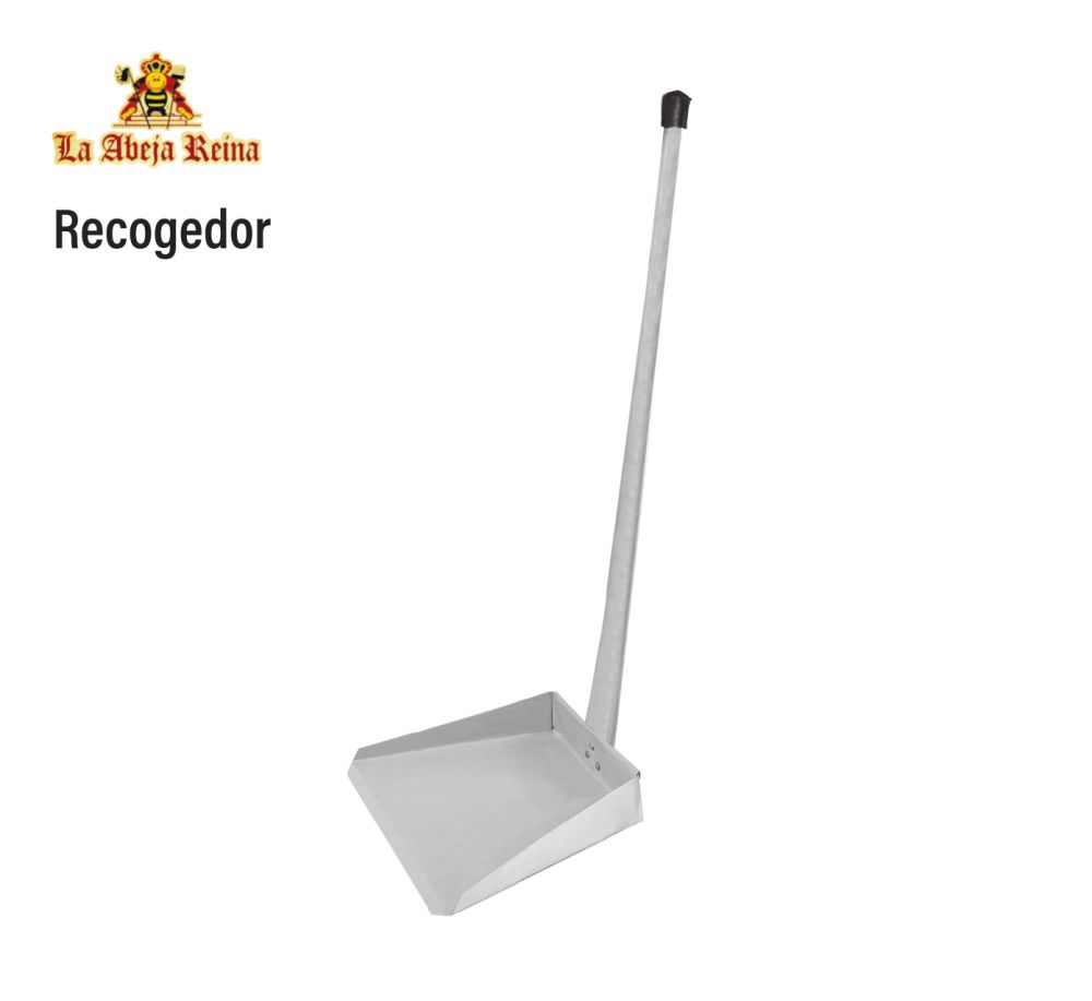 Recogedor